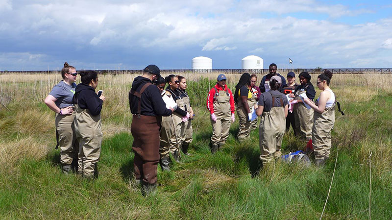 Students Train In Wetland Science Field Techniques - Meadowlands ...
